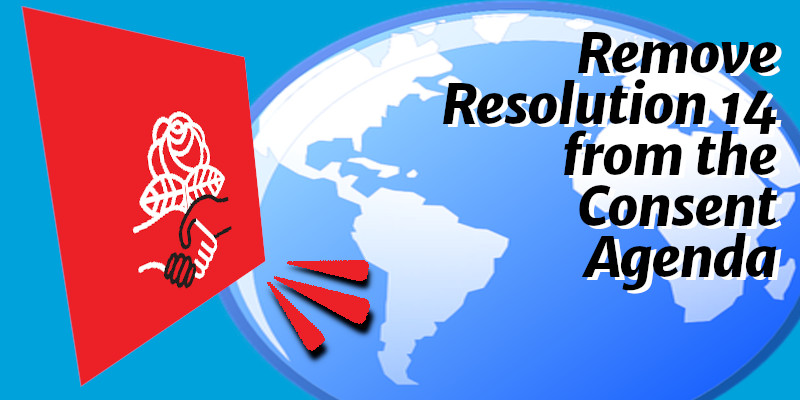 DSA National Convention: Support the Resolution to Discuss DSA’s ...