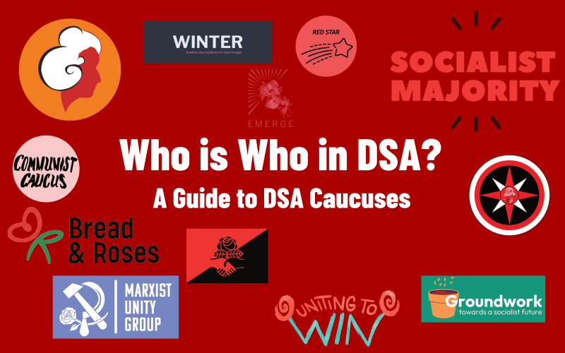 Who’s Who in DSA: A Guide to DSA Caucuses | Reform & Revolution