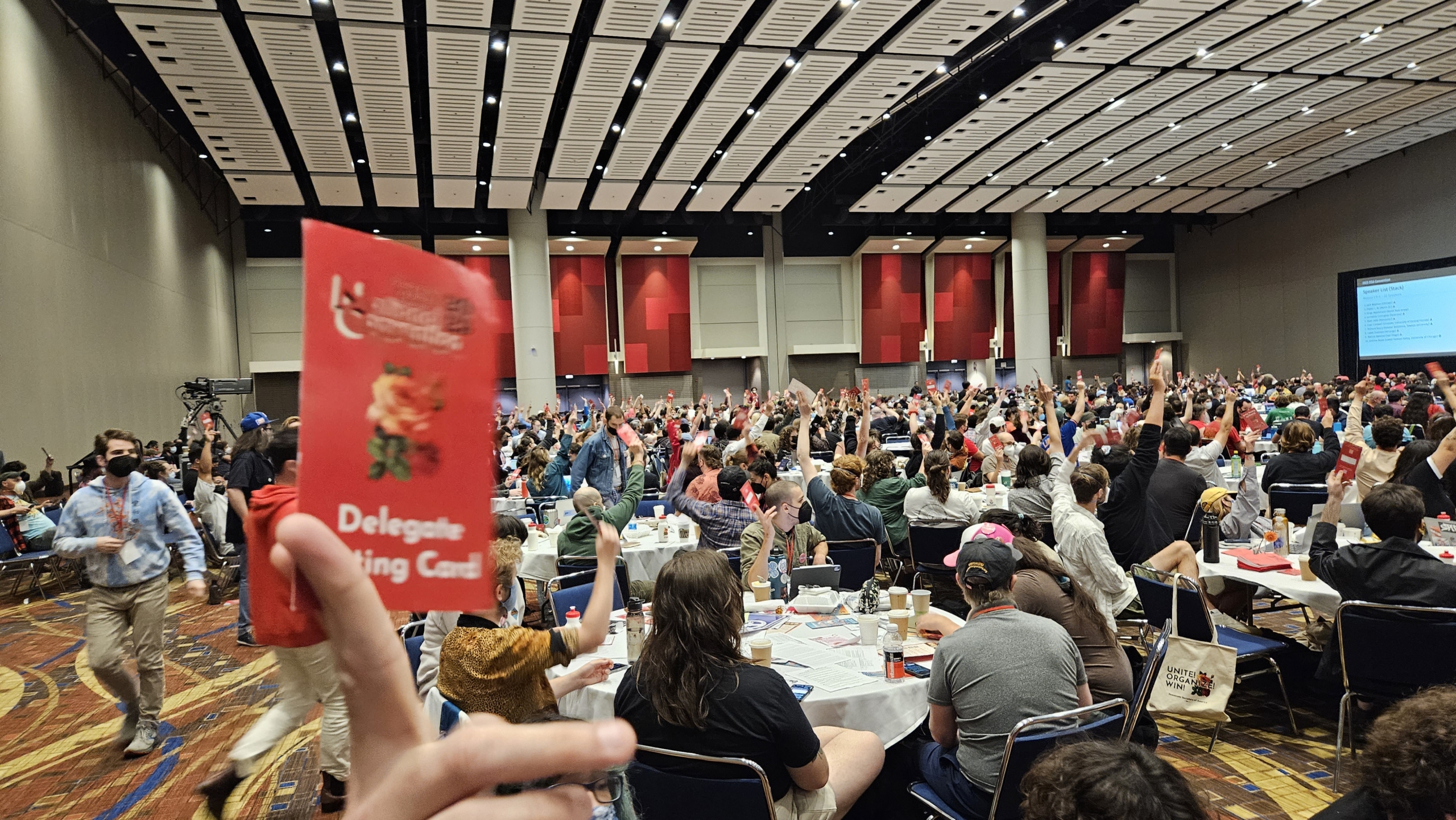 R&R’s Attempt to Democratize DSA | Reform & Revolution