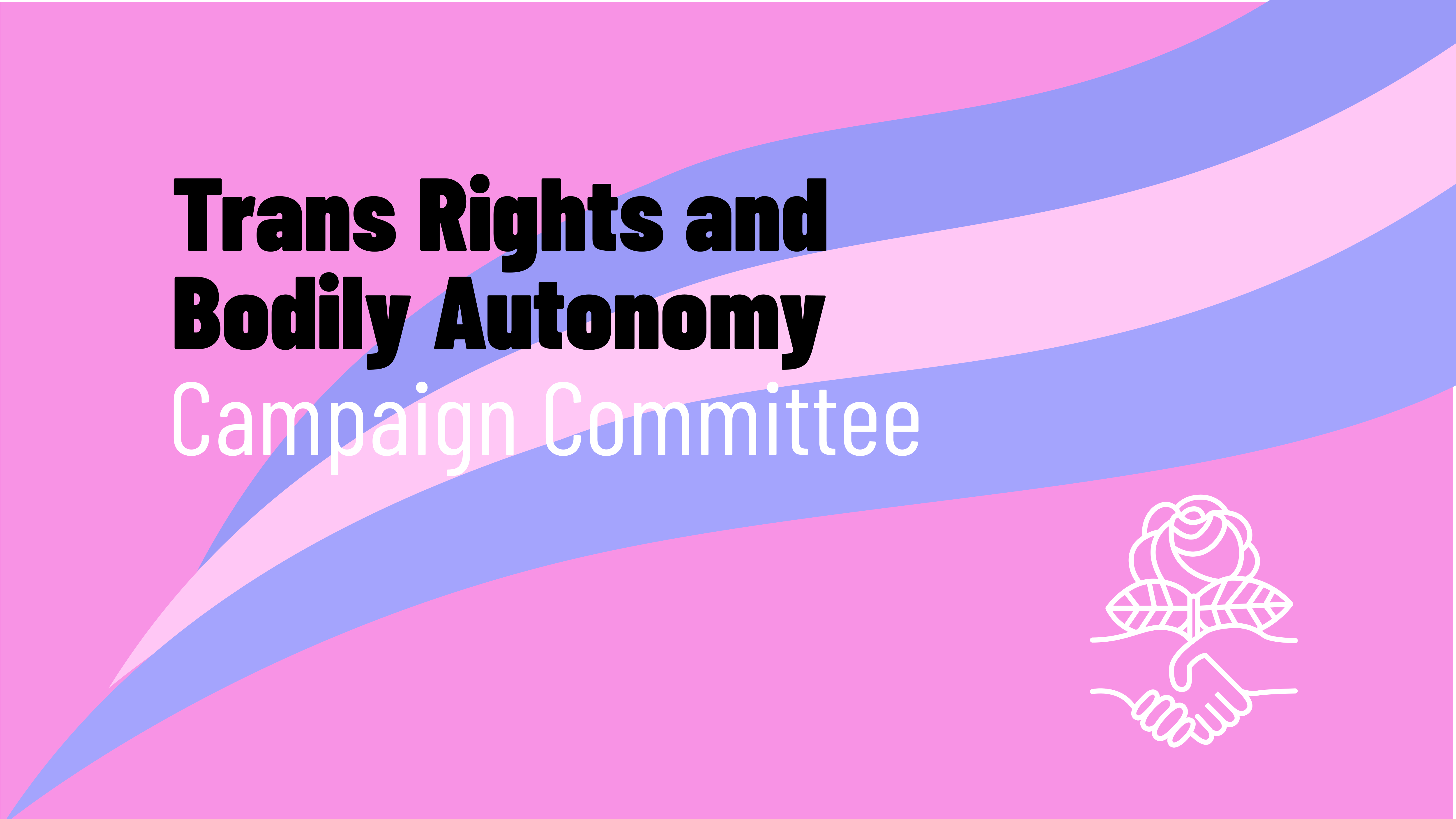 Report: DSA’s Campaign for Trans and Reproductive Rights | Reform ...