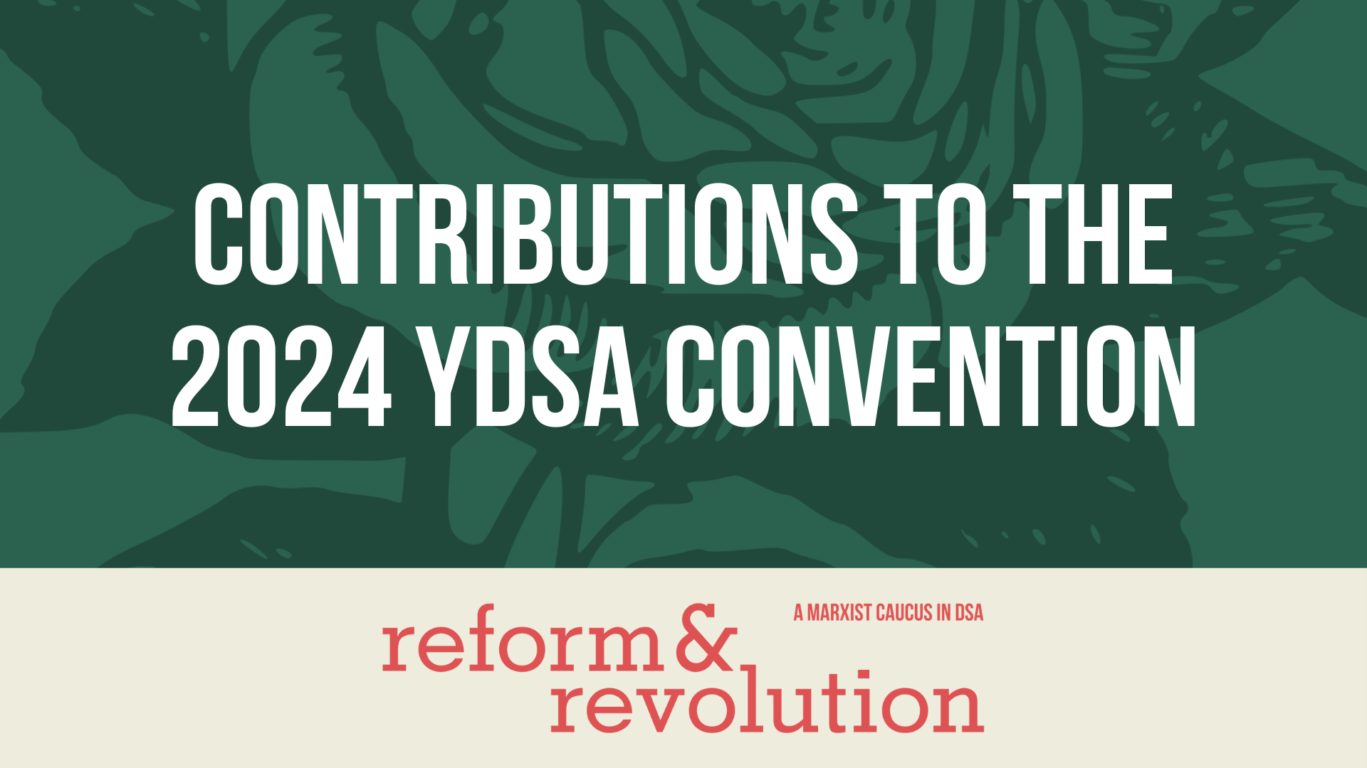 Contributions to the 2024 YDSA Convention | Reform & Revolution